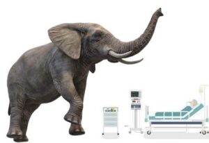 Ventilator Induced Lung Injury, the unseen elephant in the room ...